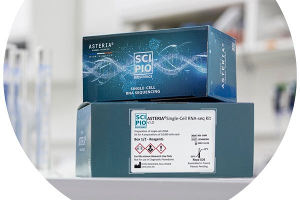 Scipio bioscience Announces a Single-Cell Grant Program for Four Researchers to Receive a ...